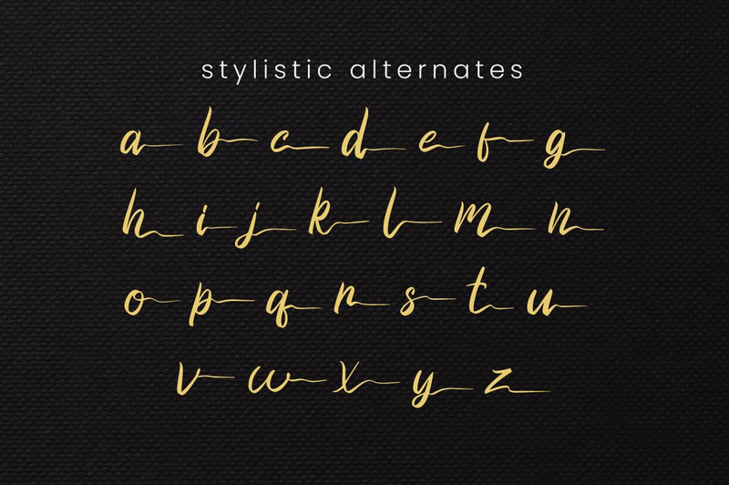 Beagle Sign - Handwritting Font - So Fontsy