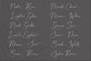 Beatrice Clorophil - Chic Calligraphy Font - So Fontsy