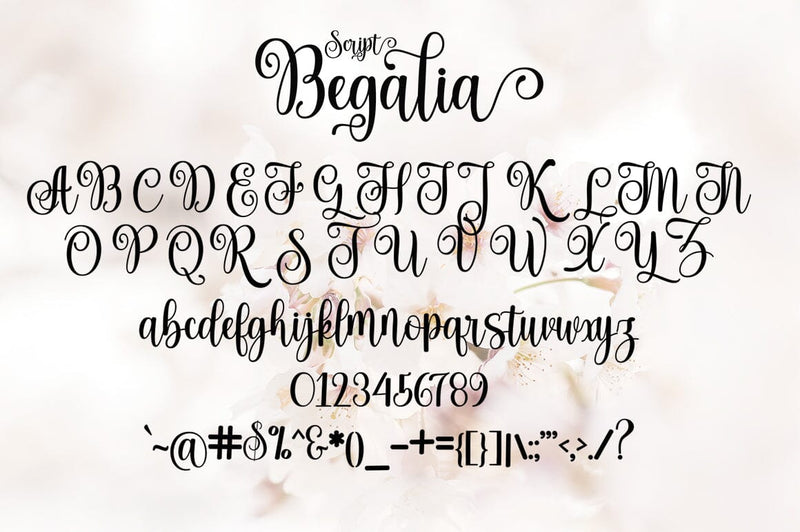 Begalia Script - So Fontsy