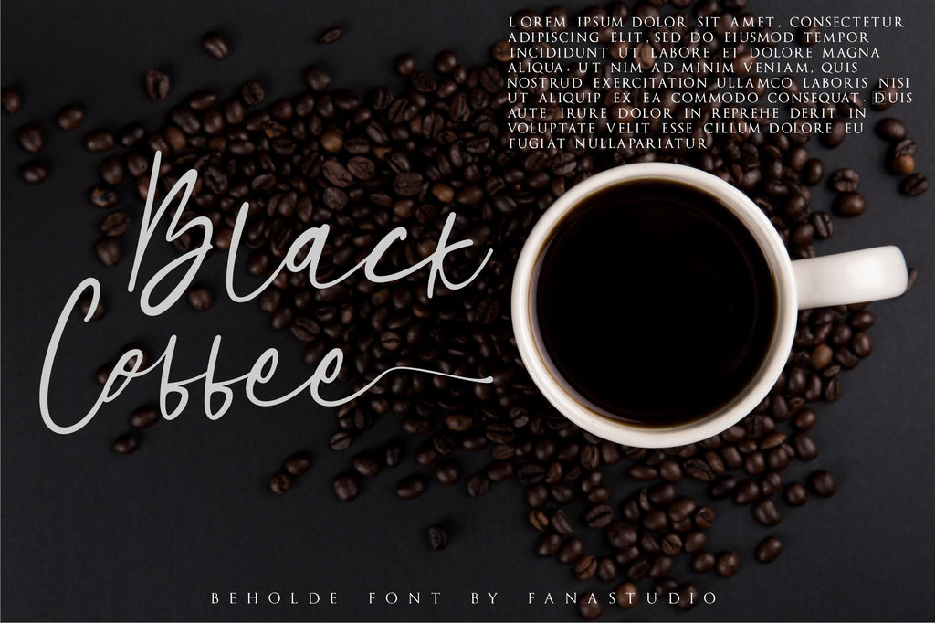 Beholde Signature Font - So Fontsy