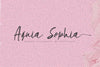 Beholde Signature Font - So Fontsy