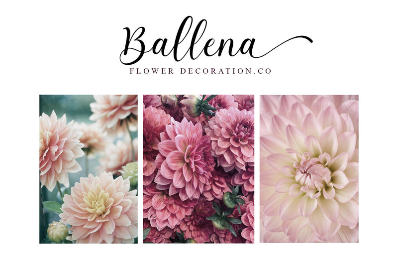 Belisha | Modern Script - So Fontsy