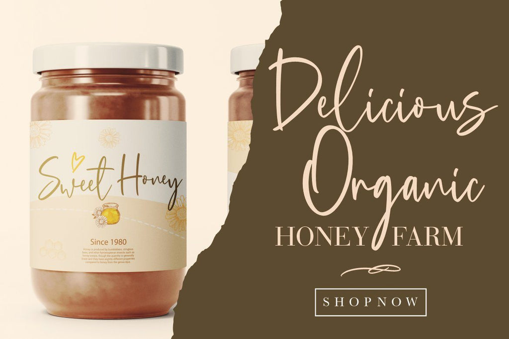 Bellagio Chic Script Typeface - So Fontsy