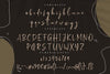 Bellagio Chic Script Typeface - So Fontsy