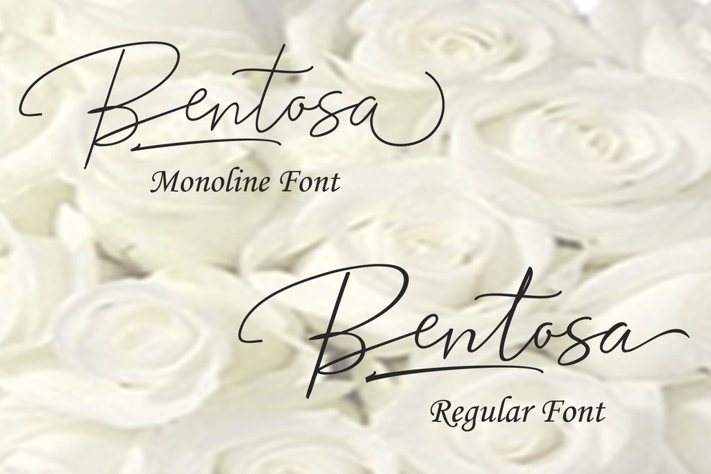 Bentosa - So Fontsy