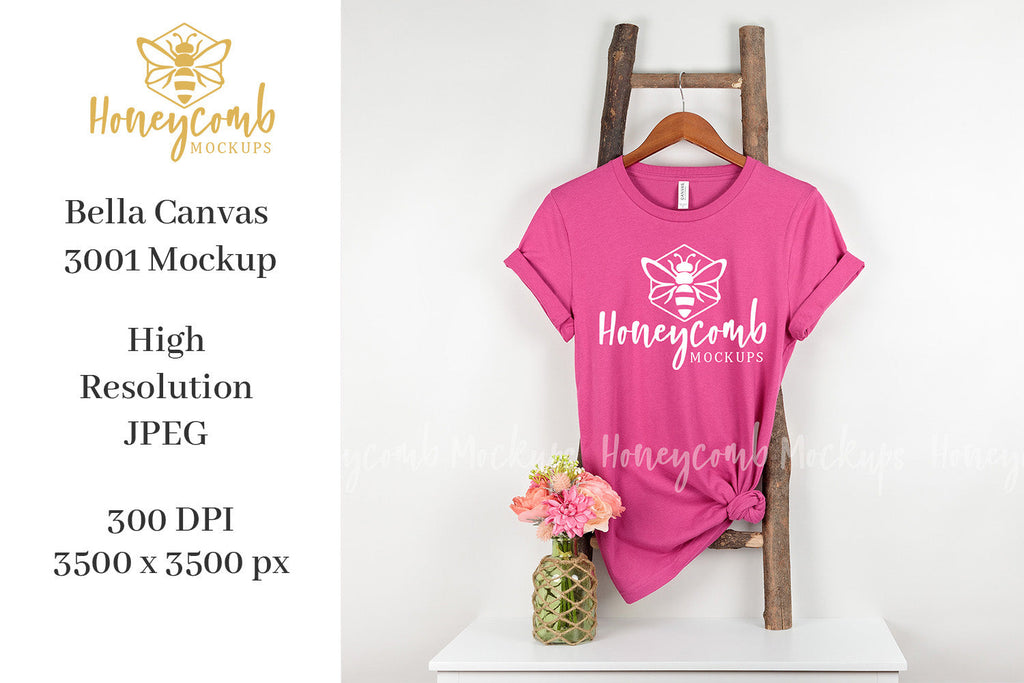 Autumn Bella Canvas 3001 Mockup, Hanging Ladder Mockup, Women's T-Shirt ...