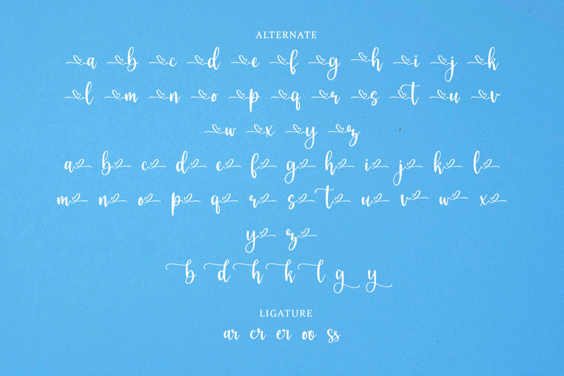 Berthalisa - Modern Calligraphy Font - So Fontsy