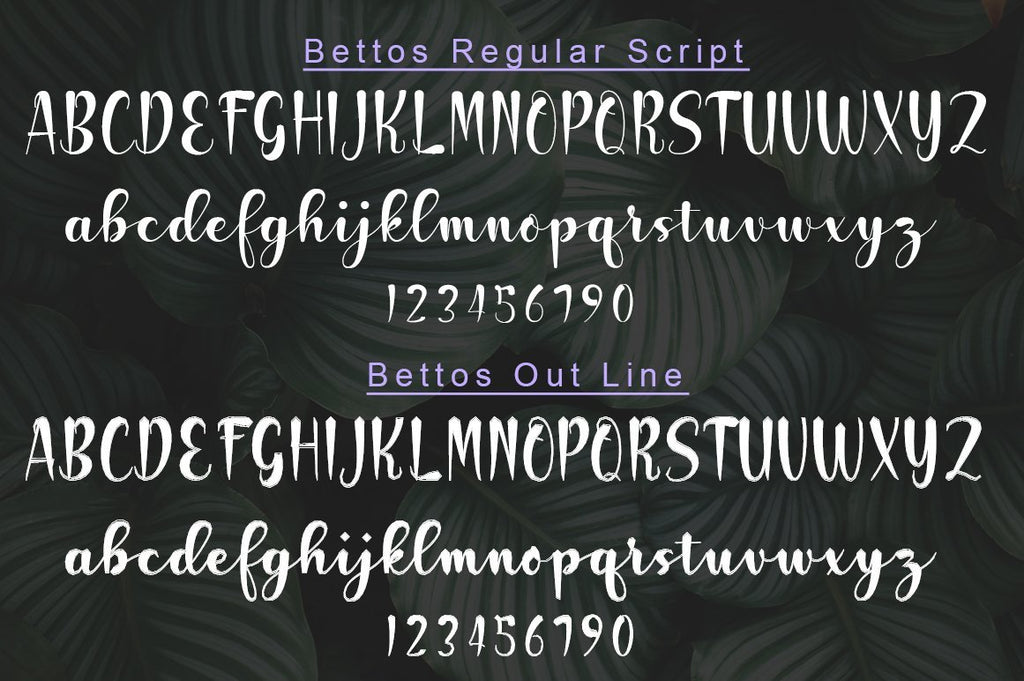 Bettos Font Duo - So Fontsy