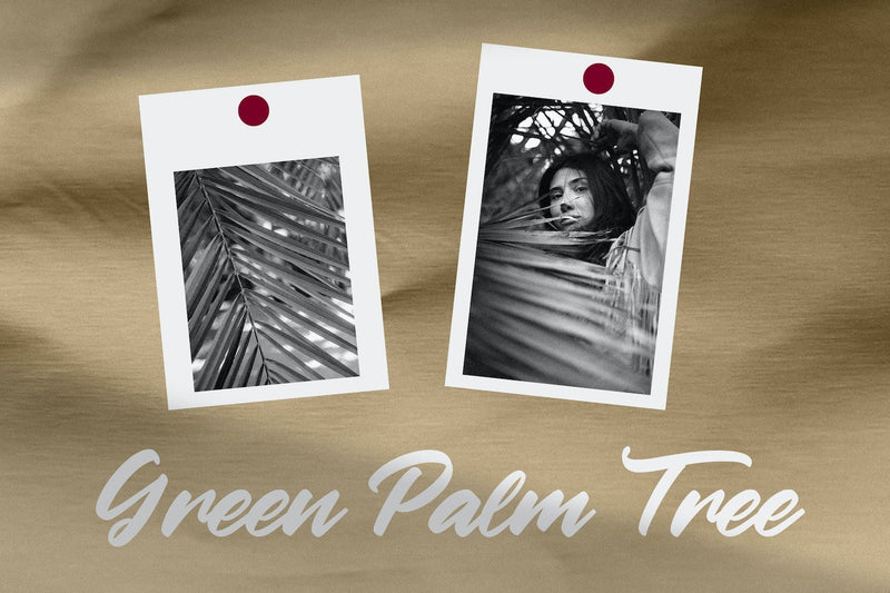 Betty Finty - Modern Script Font - So Fontsy