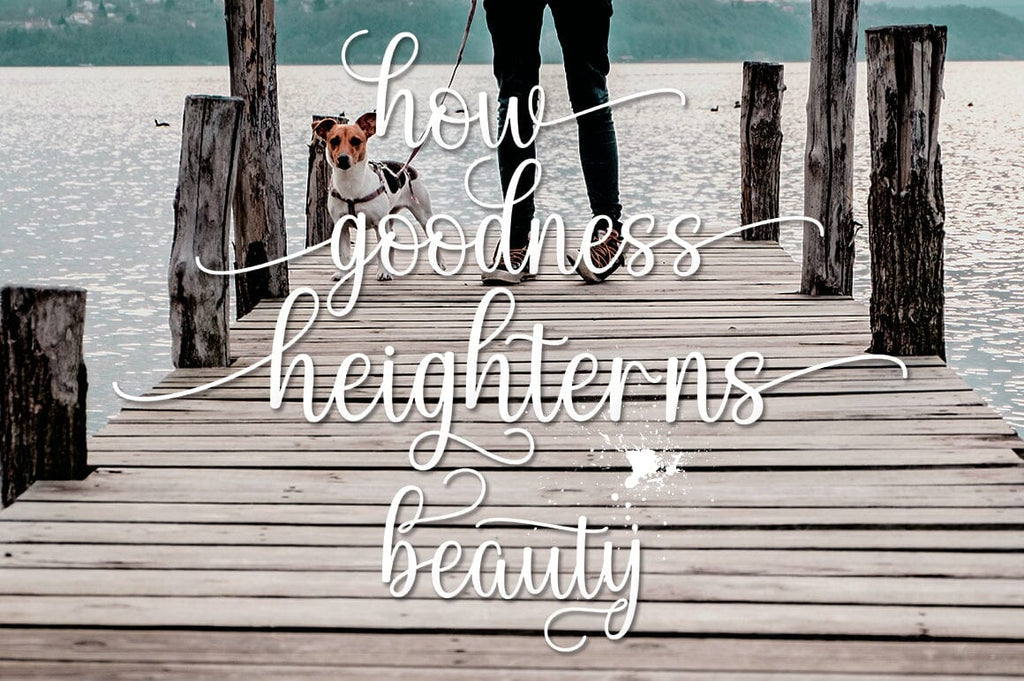 Betty Script - So Fontsy