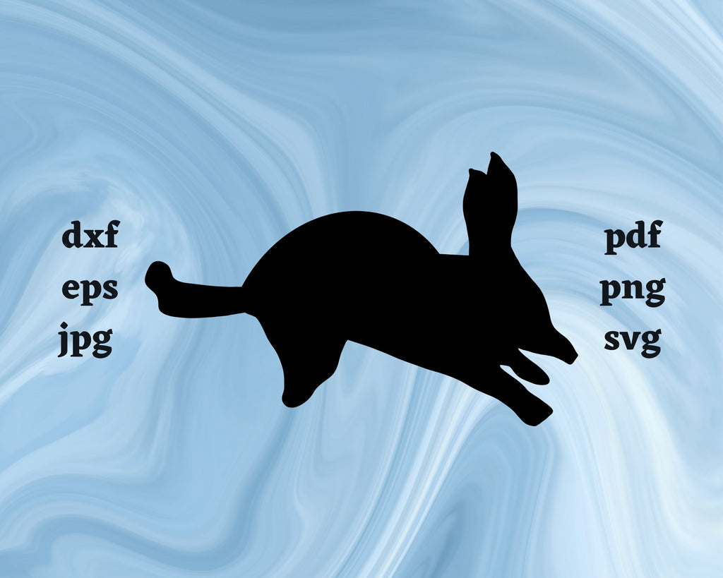 Bilby SVG Cut File - So Fontsy