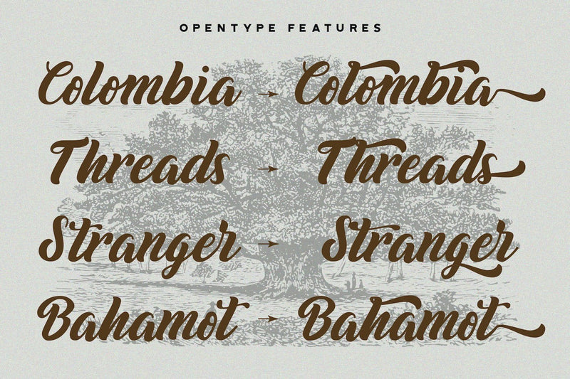 Biyonella - Retro Bold Script Font - So Fontsy