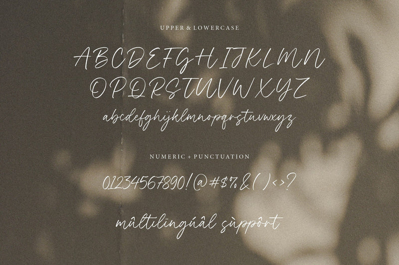 Black Forest Modern Handwritten Font - So Fontsy