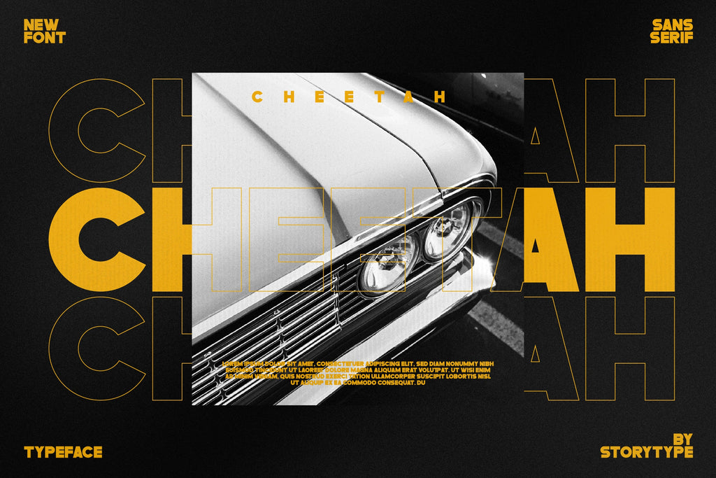 BLANK SPACE Typeface - So Fontsy