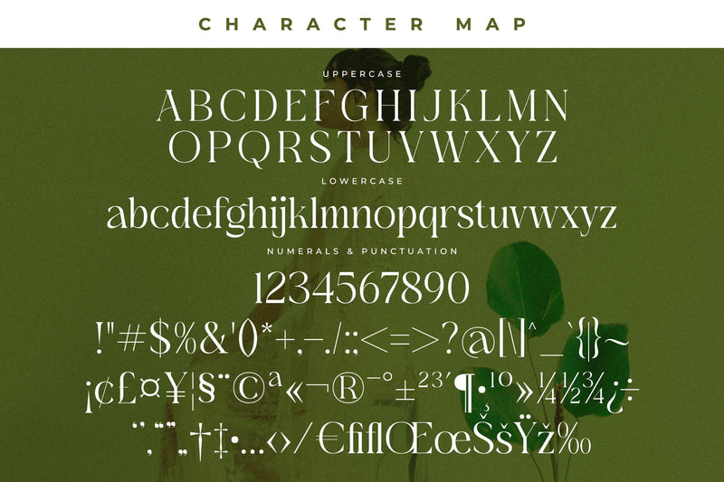 Blanvad Typeface - So Fontsy