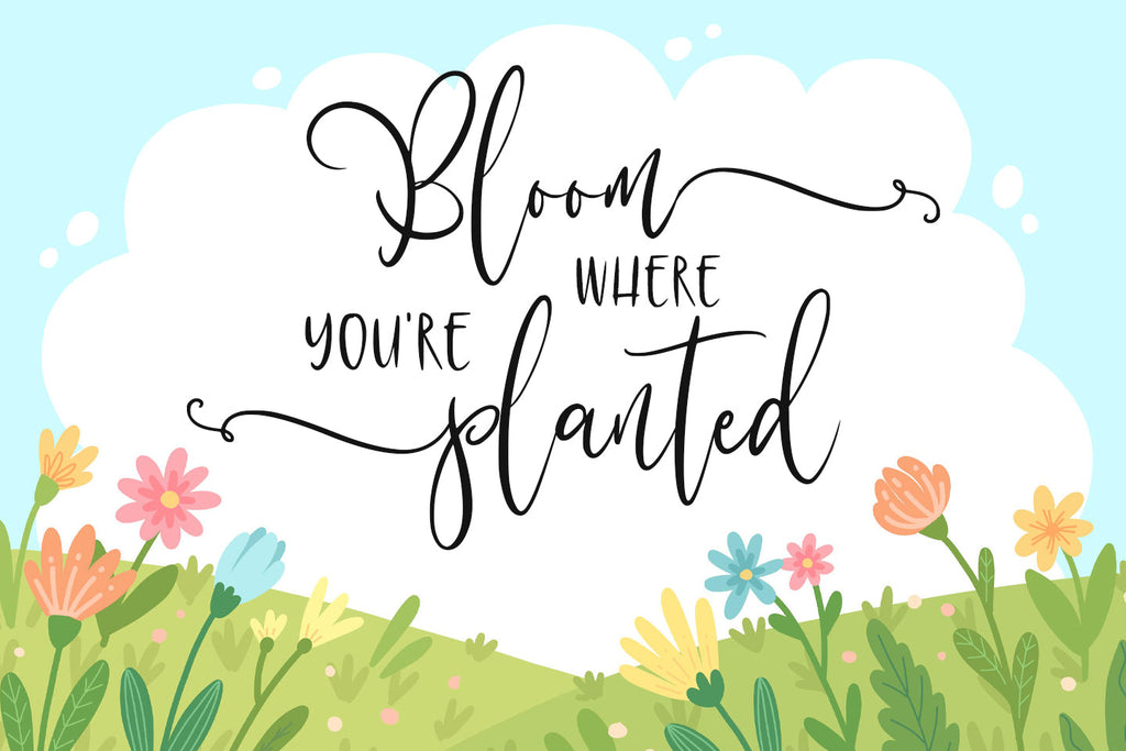 Blessed Farmhouse -Duo- - So Fontsy