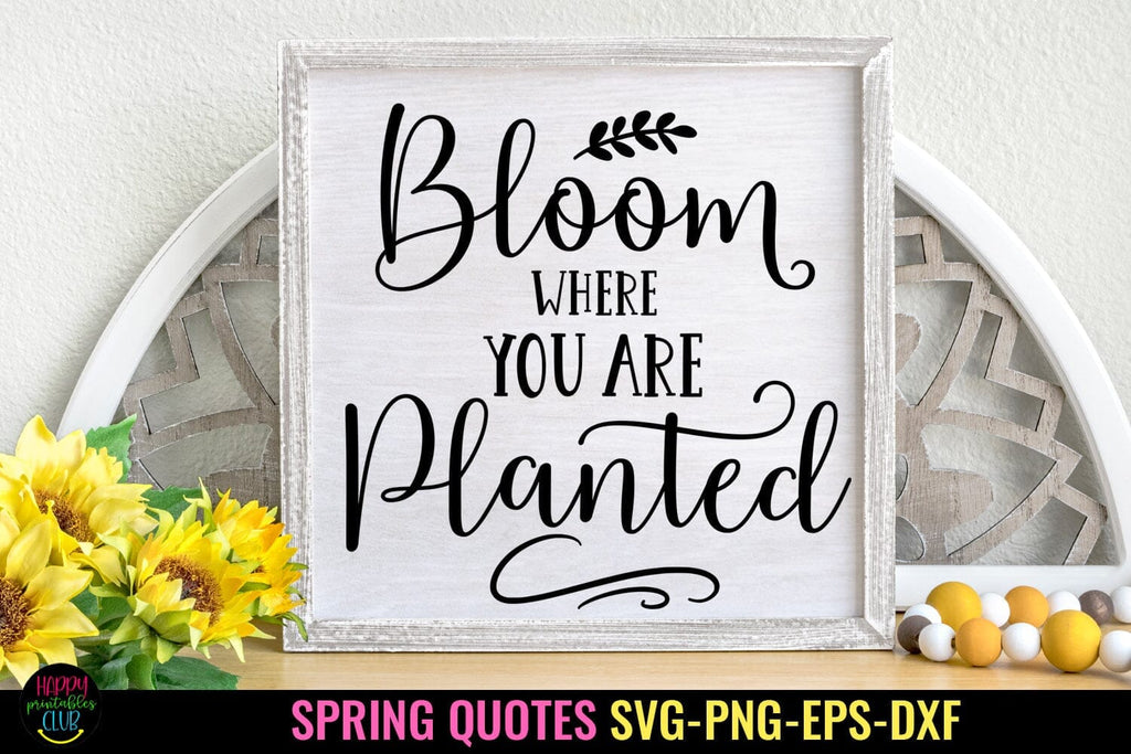 Bloom Where You Are Planted SVG I Spring Door Sign SVG - So Fontsy