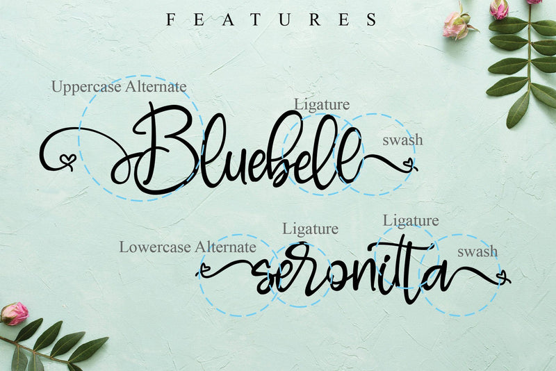 Bluebell - So Fontsy