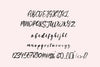 Bohemian Script Font - So Fontsy