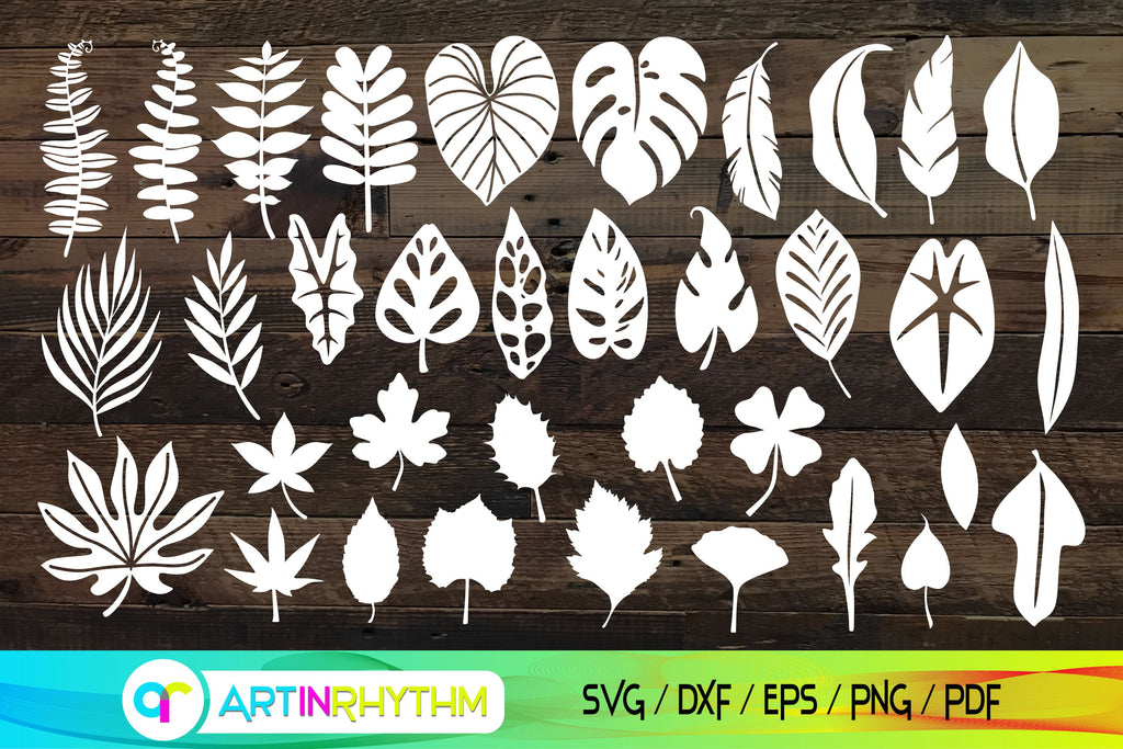 Botanical leaves svg bundle - So Fontsy