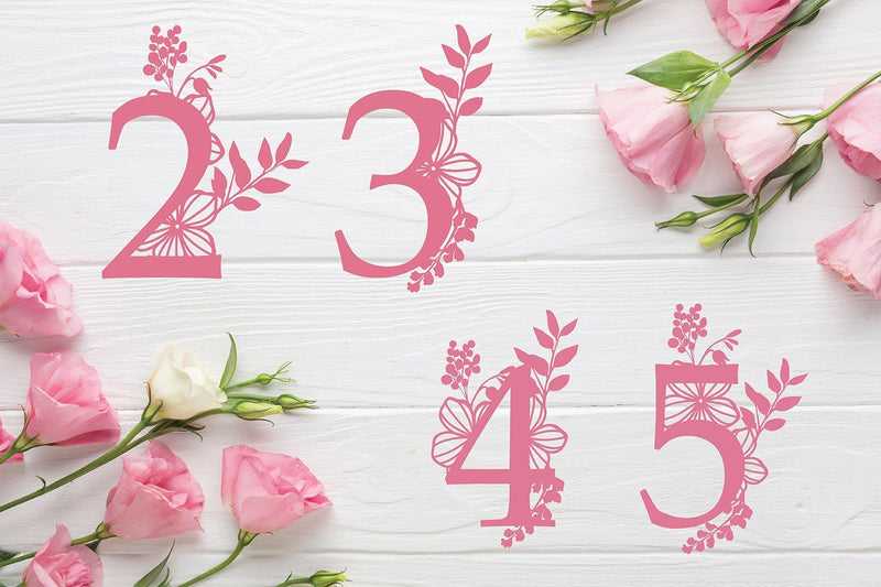 Botanical alphabets Monogram Set 0-9 Svg cut file - So Fontsy