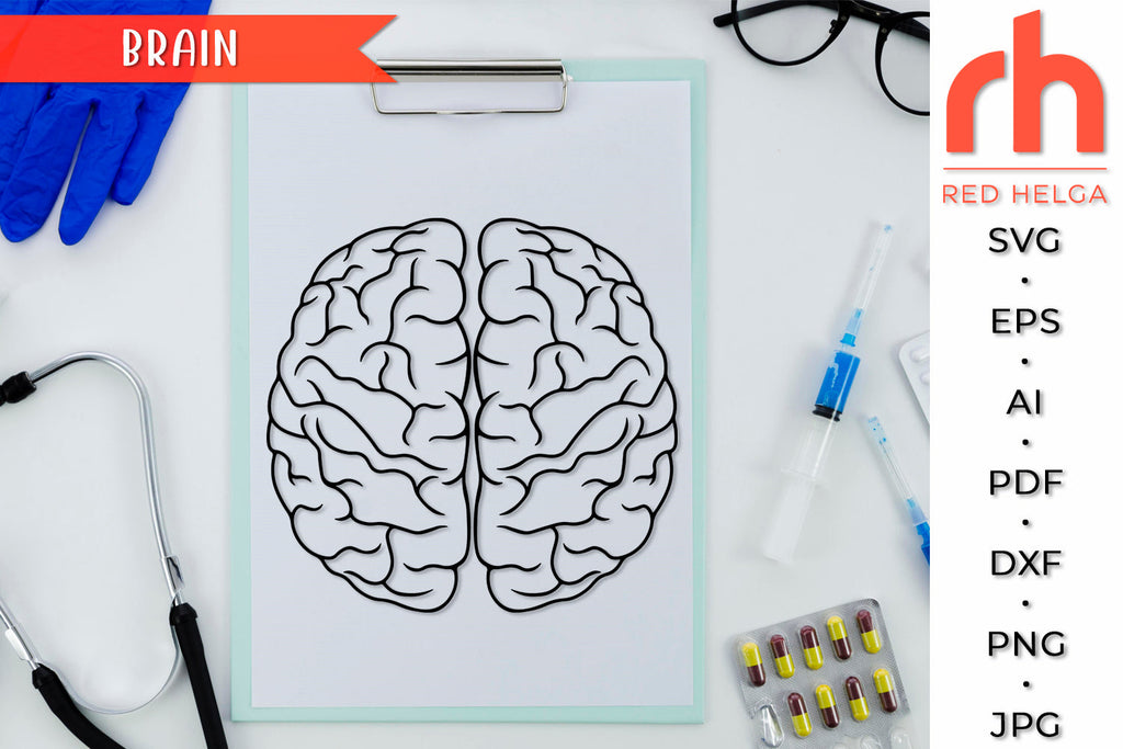 Brain SVG - Human Anatomy Cut File - So Fontsy