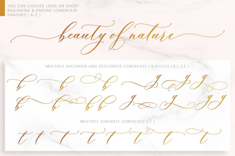 Brendisa Script - So Fontsy