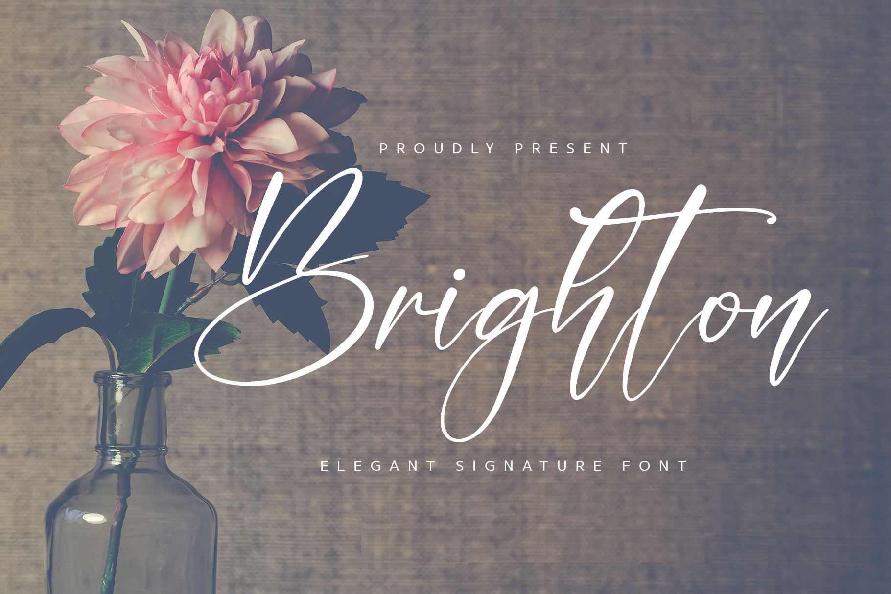 Brighton - So Fontsy