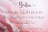 Brillia Calligraphy - So Fontsy