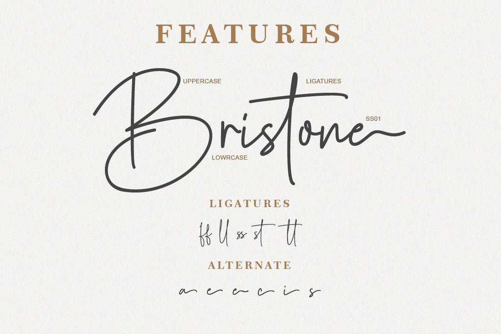 Bristone Handwritten Script | So Fontsy