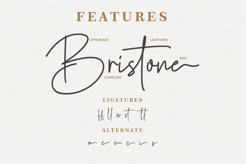 Bristone Handwritten Script | So Fontsy