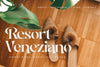 Brogte Typeface - So Fontsy