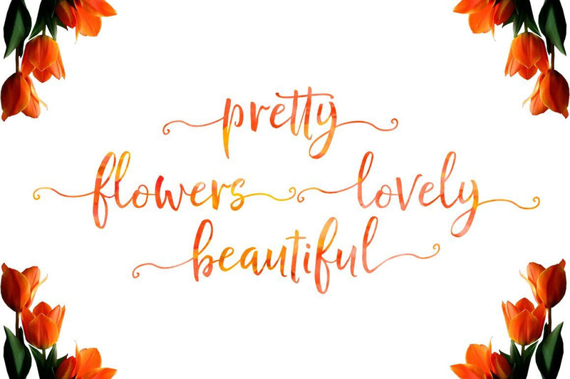 Bronetto Script - So Fontsy