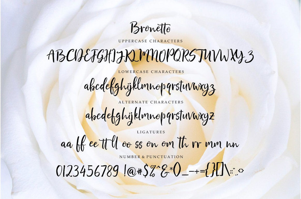 Bronetto Script - So Fontsy
