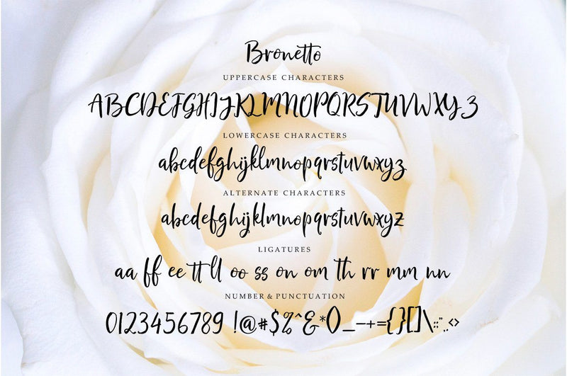 Bronetto Script - So Fontsy