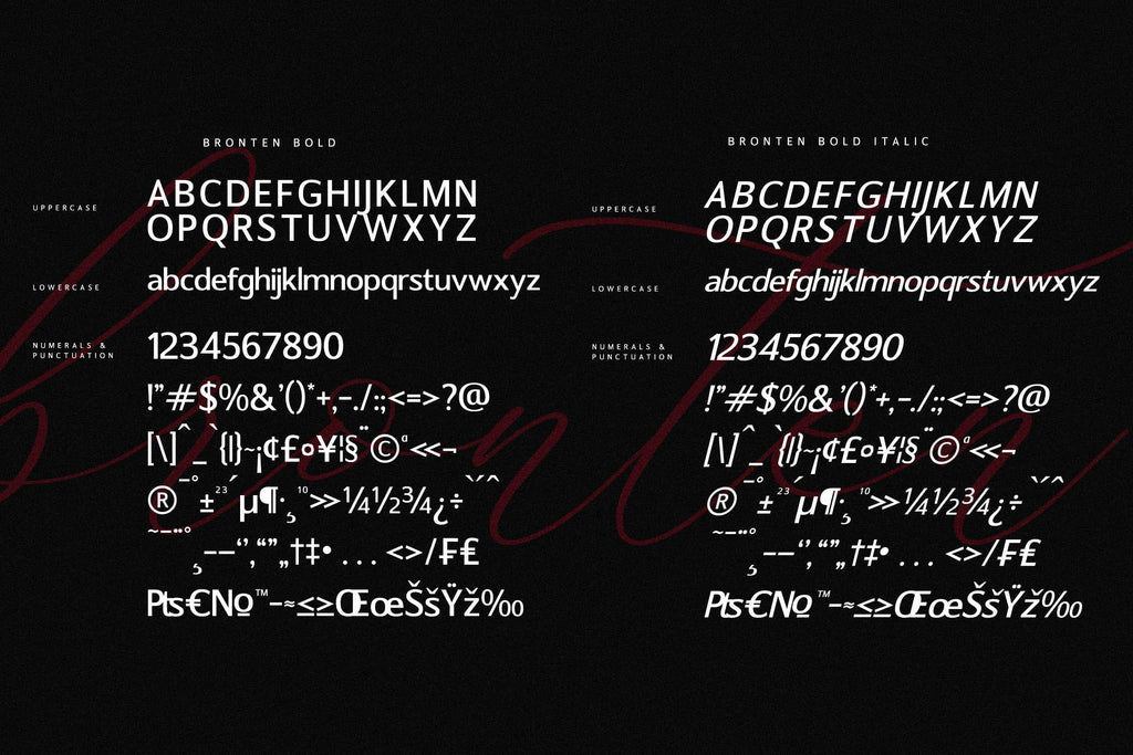 Bronten Typeface - So Fontsy
