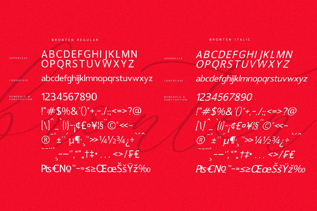 Bronten Typeface - So Fontsy
