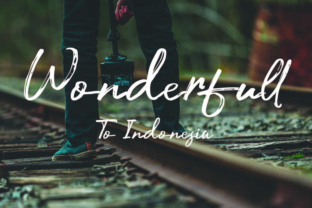 Bucharest Brush Font - So Fontsy