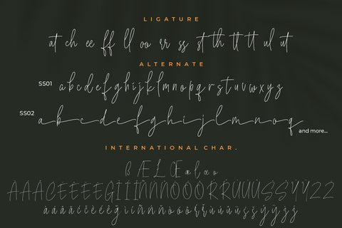 Bucherry Monoline Script - So Fontsy