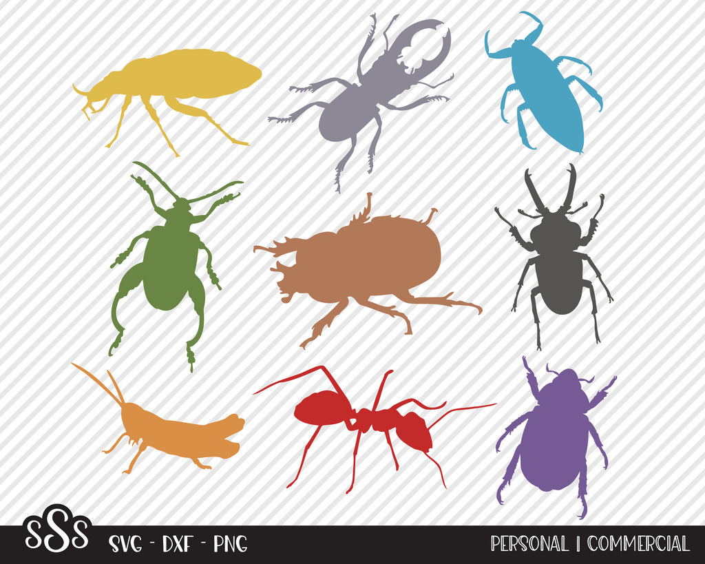 bug bundle | Outdoor SVG - So Fontsy