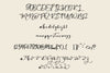 Butgone - Handwritten Script Font - So Fontsy