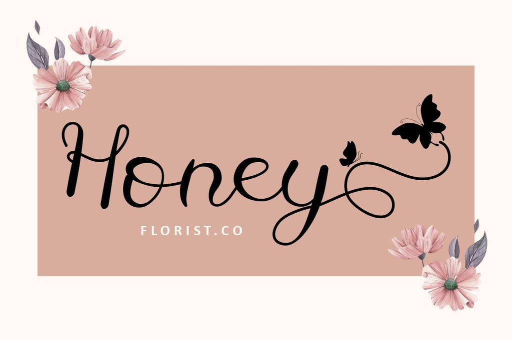 Butterfly - Modern Calligraphy - So Fontsy