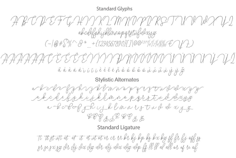 Butty Script - So Fontsy