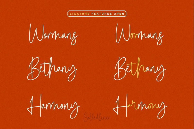 Calledliner - Monoscript Font - So Fontsy
