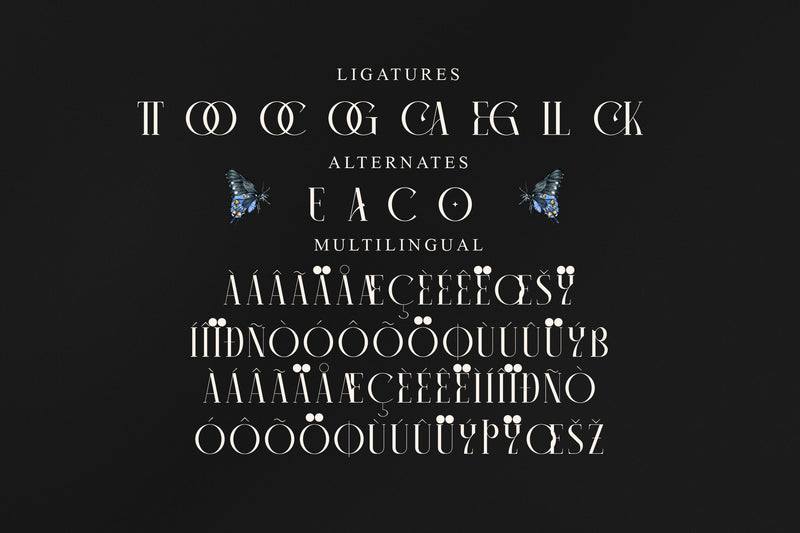 CAMAROON MEGALORD Typeface - So Fontsy