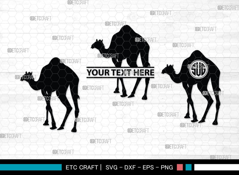 Camel Monogram, Camel Silhouette, Camel SVG, Desert Animal Svg, Black ...