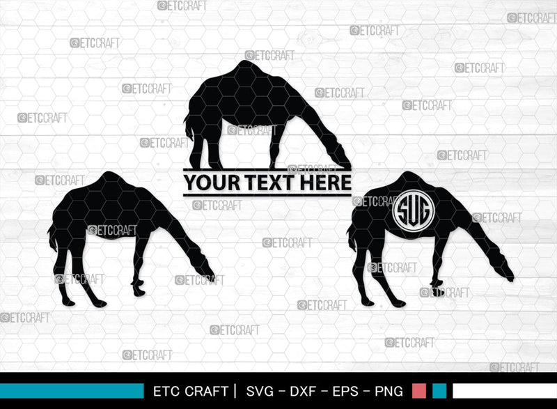 Camel Monogram, Camel Silhouette, Camel SVG, Desert Animal Svg, Black ...