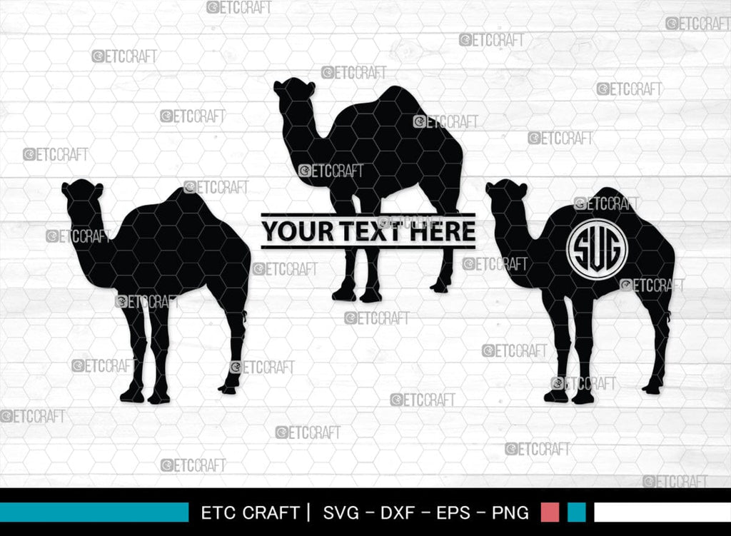 Camel Monogram, Camel Silhouette, Camel SVG, Desert Animal Svg, Black ...