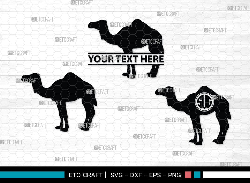 Camel Monogram, Camel Silhouette, Camel SVG, Desert Animal Svg, Black ...