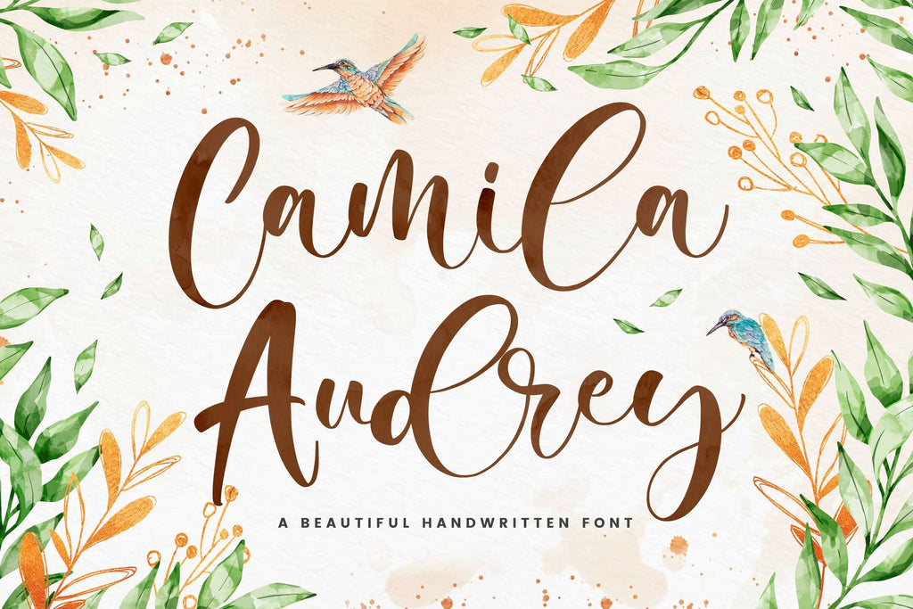 Camila Audrey Script Font - So Fontsy